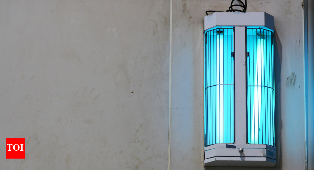 Best Mosquito Killers to Get Rid Of Pests and Keep Your Space Bug-Free ...