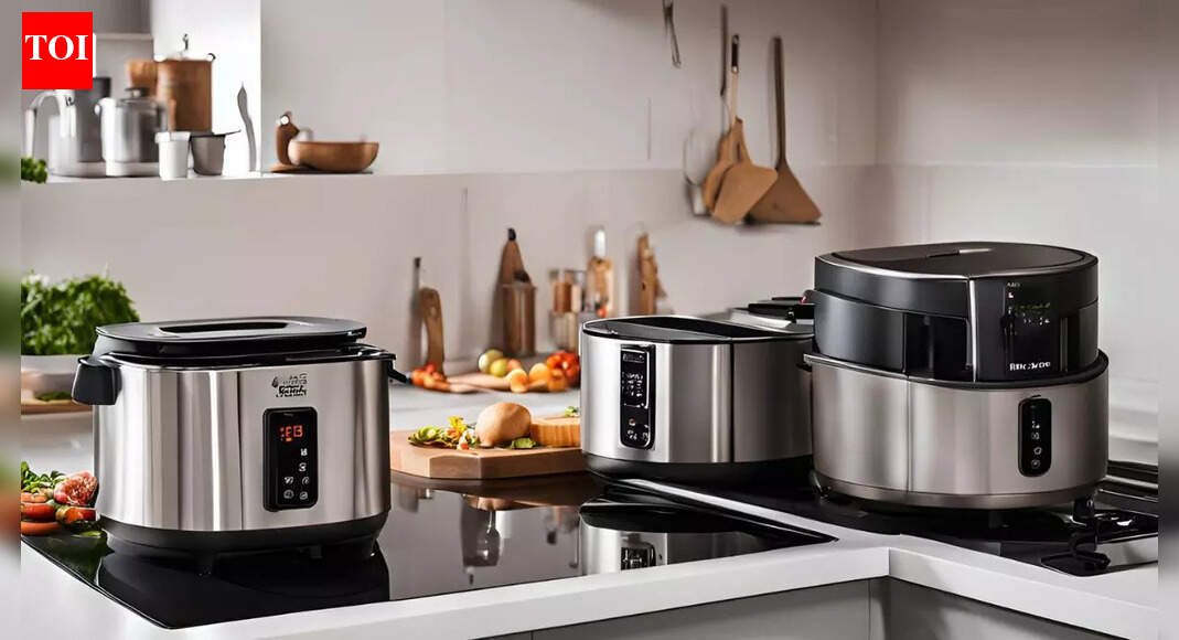 Best Of Air Fryers And Induction Cookers To Easily Cook Without Gas ...
