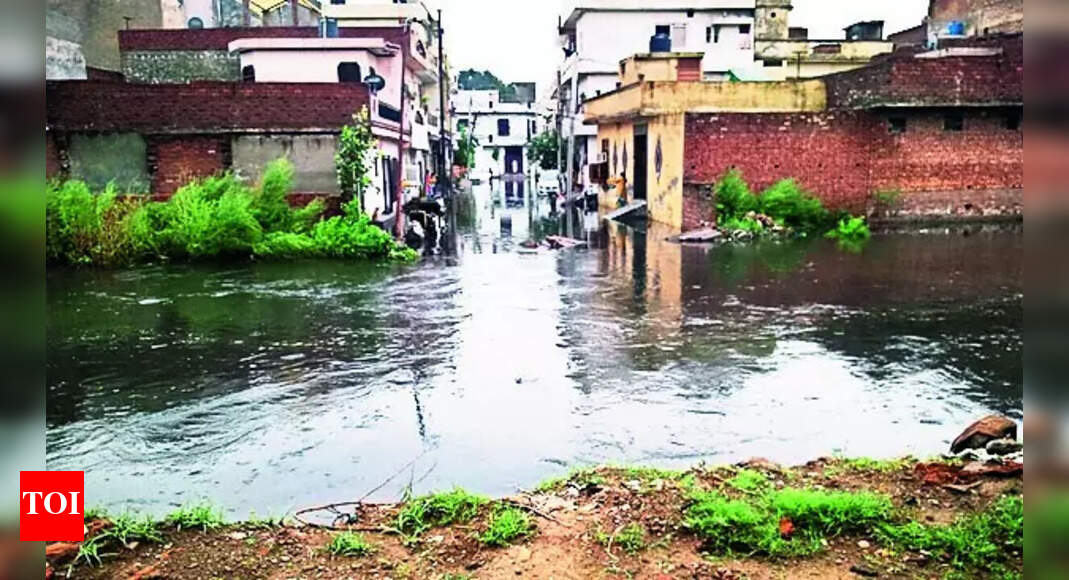 Buddha Nullah: Is the ₹650-cr Buddha Nullah project in vain? Ludhiana ...