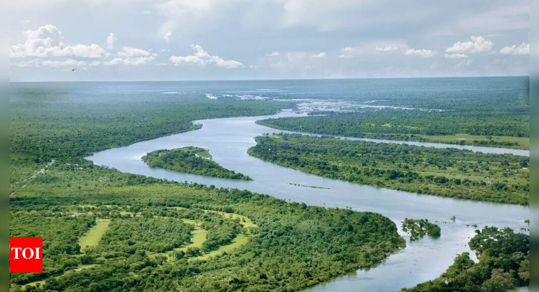 Scientists discover why rivers change course and cause devastating ...