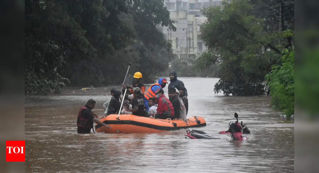Chancellor’S Gold Medal: Jhalak Jain receives Chancellor’s gold medal ...