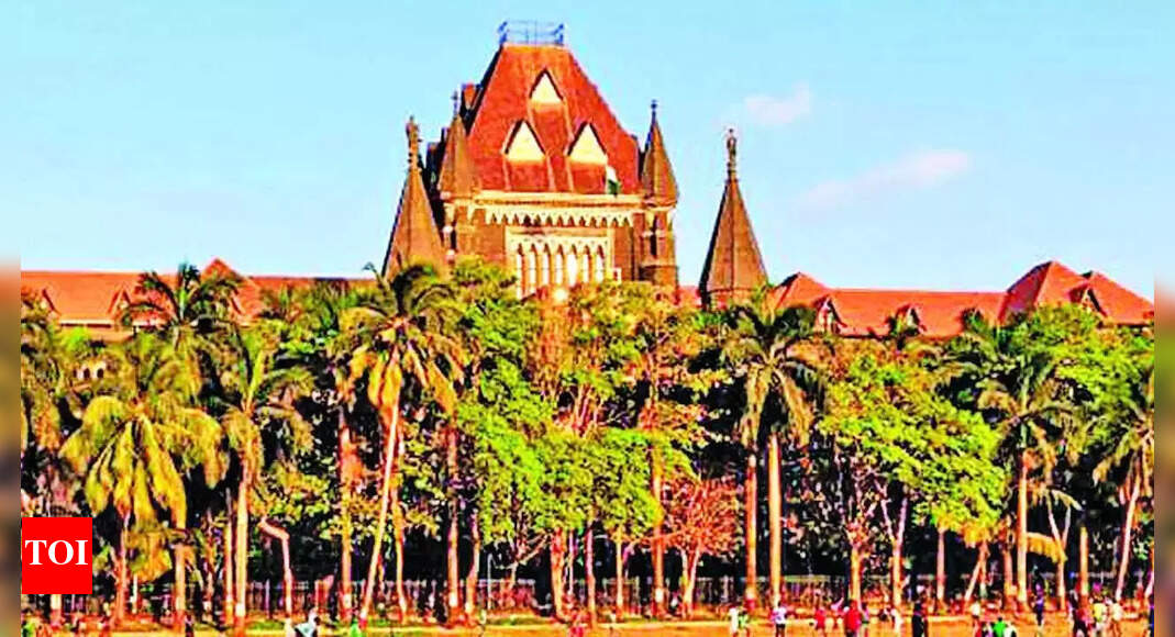 Bombay HC: Girl, 15, has right to choose birth of 27-week fetus or MTP ...