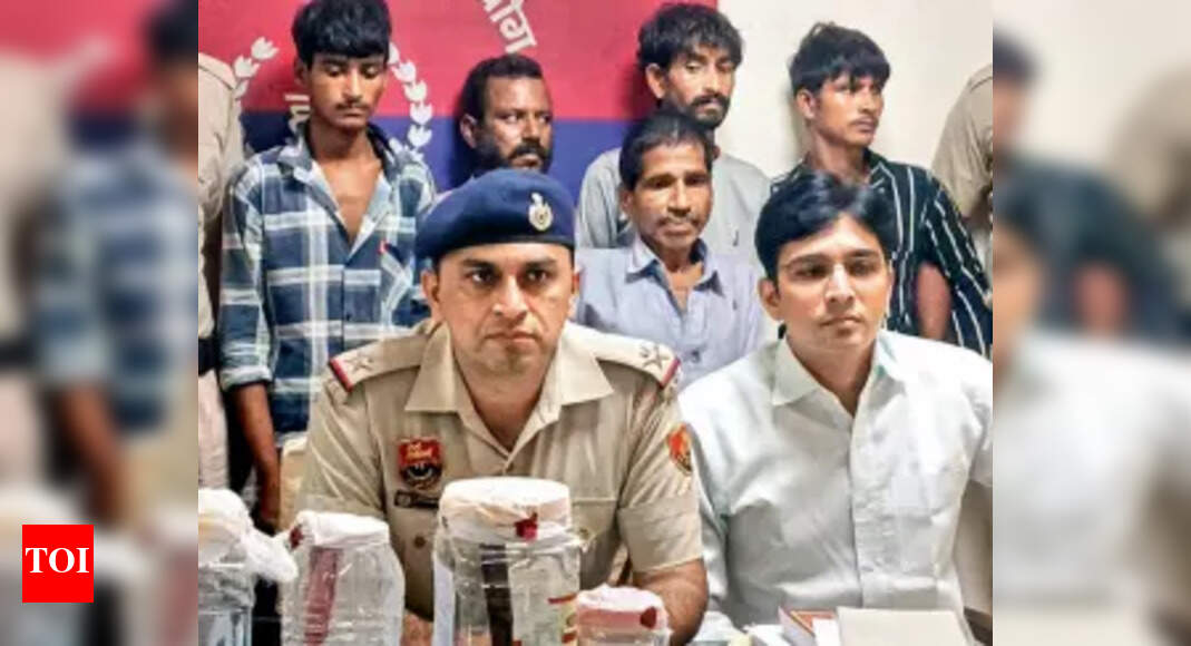 'They came as beggars and scrap collectors': Bagariya gang 'breaks ...