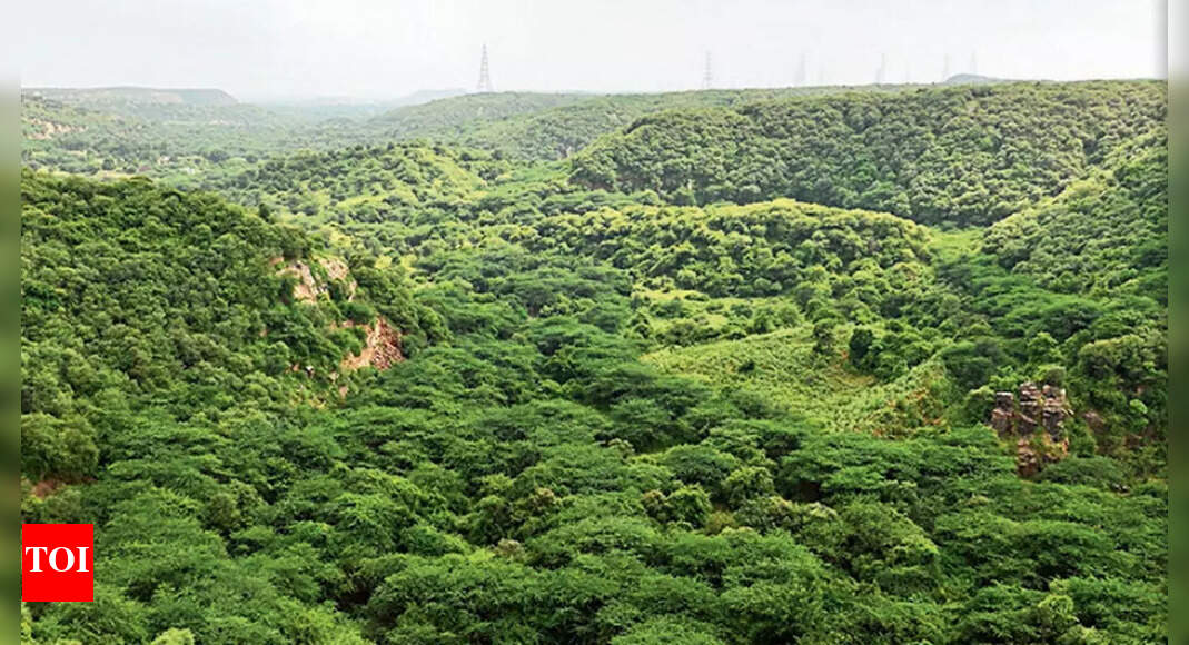 Nicobar swap: 24k hectares of Aravalis in 5 districts of Haryana get ...