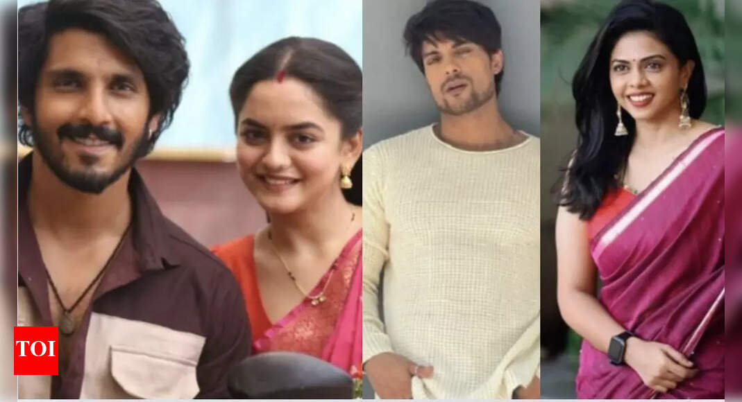 From Ankit Gupta, Rutuja Bagwe, to Kanwar Dhillon and Neha Harsora: These TV stars reveal what ...