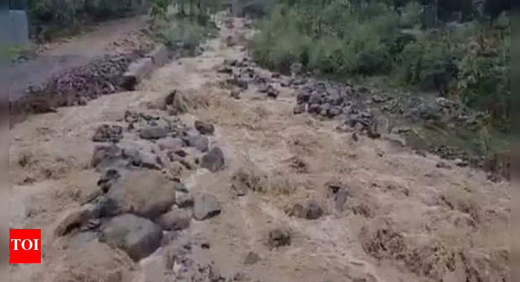 Cloudburst triggers flash flood in Jammu and Kashmir's Bandipora | Jammu News - Times of India