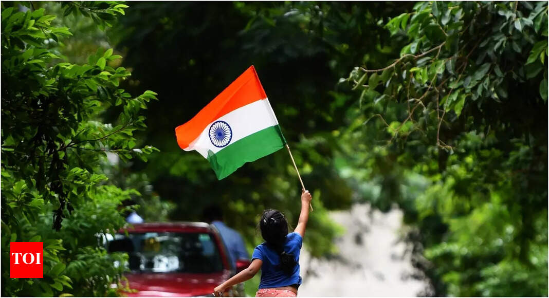 Flag Etiquettes for Indian National Flag | - Times of India