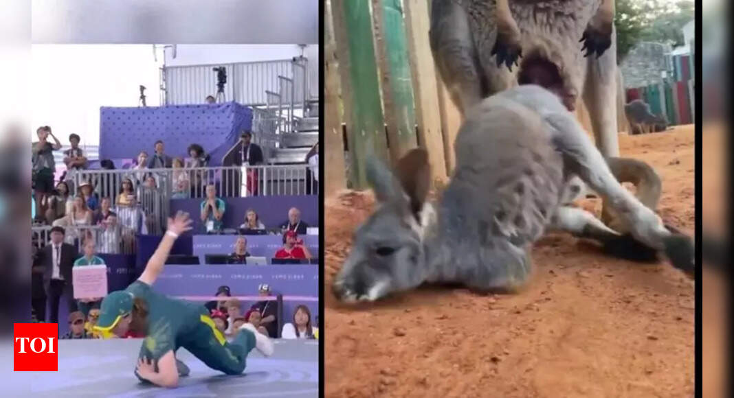 Rachael Gunn: Watch: San Antonio Zoo mocks breakdancer RayGun with ...