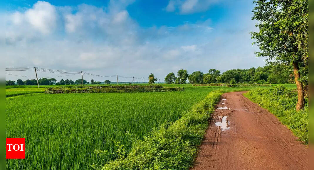 Madhapar, the world’s richest village - Times of India