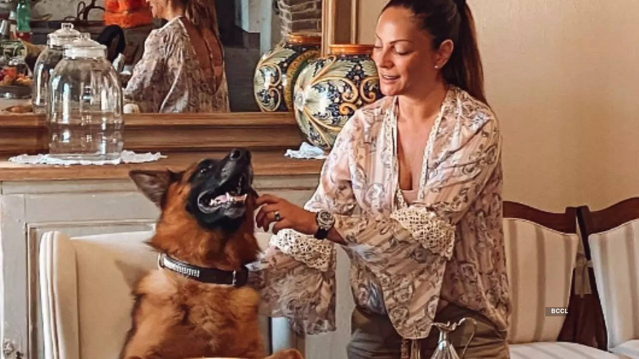 World's Richest Dog: Meet Gunther VI, the world's richest dog with a ...