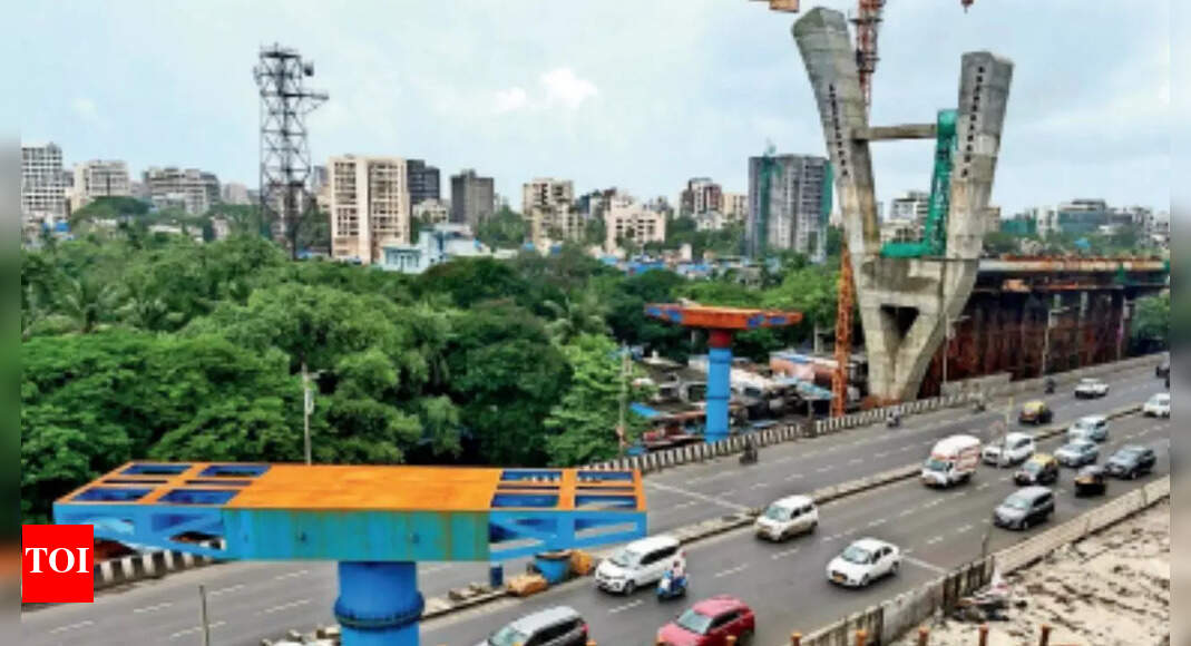 Mumbai: Brace for night blocks as Santacruz-Chembur Link Road extension ...