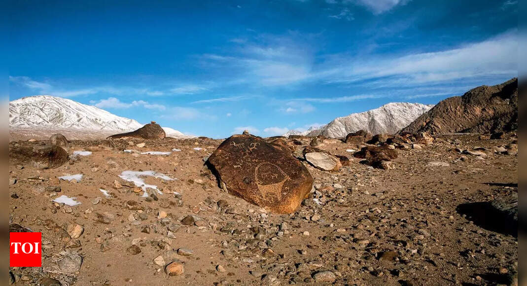 Art on the rocks: The quest to discover Ladakh’s stunning open-air ...