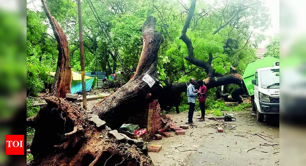 Rain: Rain brings relief from sultry weather, streets inundated ...