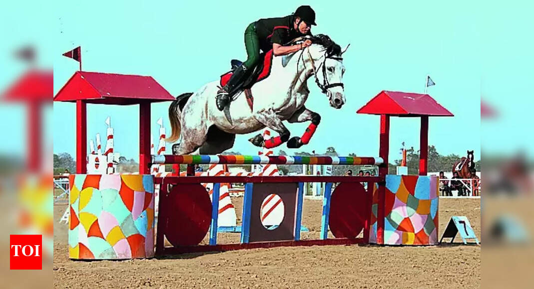 Equestrian Association: Gujarat equestrian association moves High Court ...