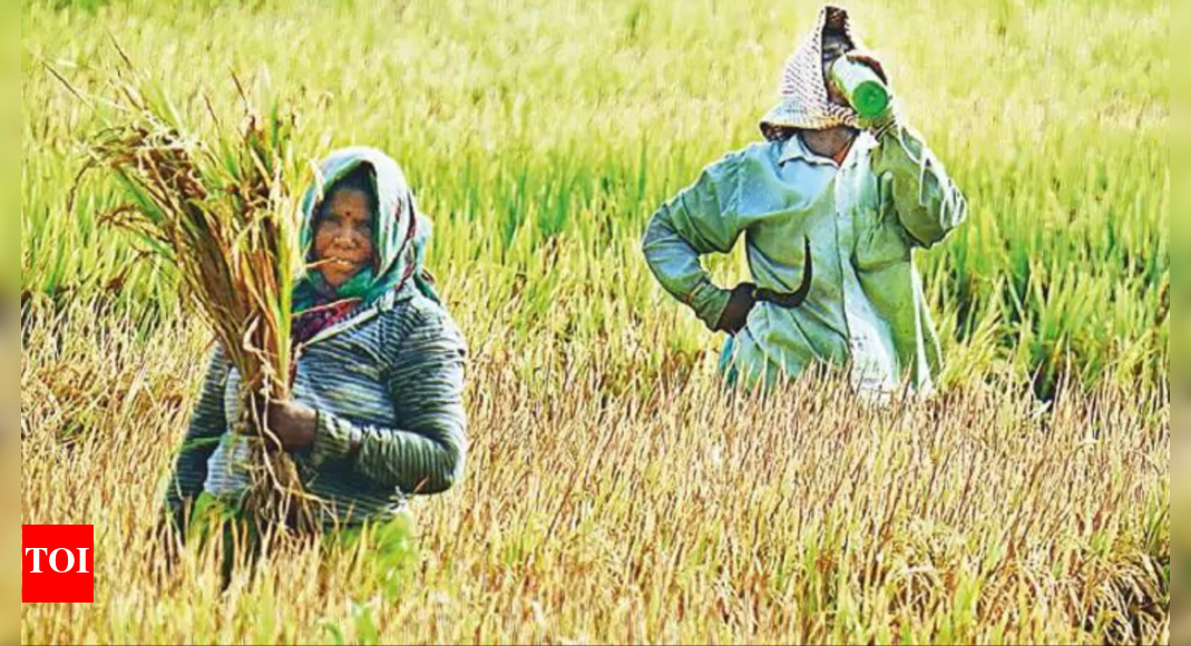 Food Grain Production: Andhra Pradesh Food Grain Production Decline ...