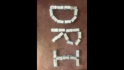 Peddlers used food packets to hide, sell banned drugs: DRI | Jaipur ...