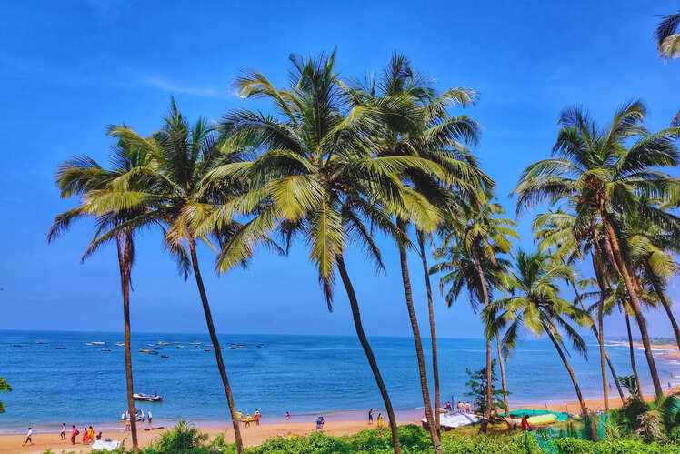 8 iconic road trips in India one must experience at least once in their ...