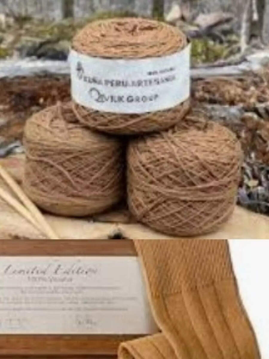 Most Expensive Wool: 80 हजार की जुराब और कोट के दाम कर देंगे हैरान ...