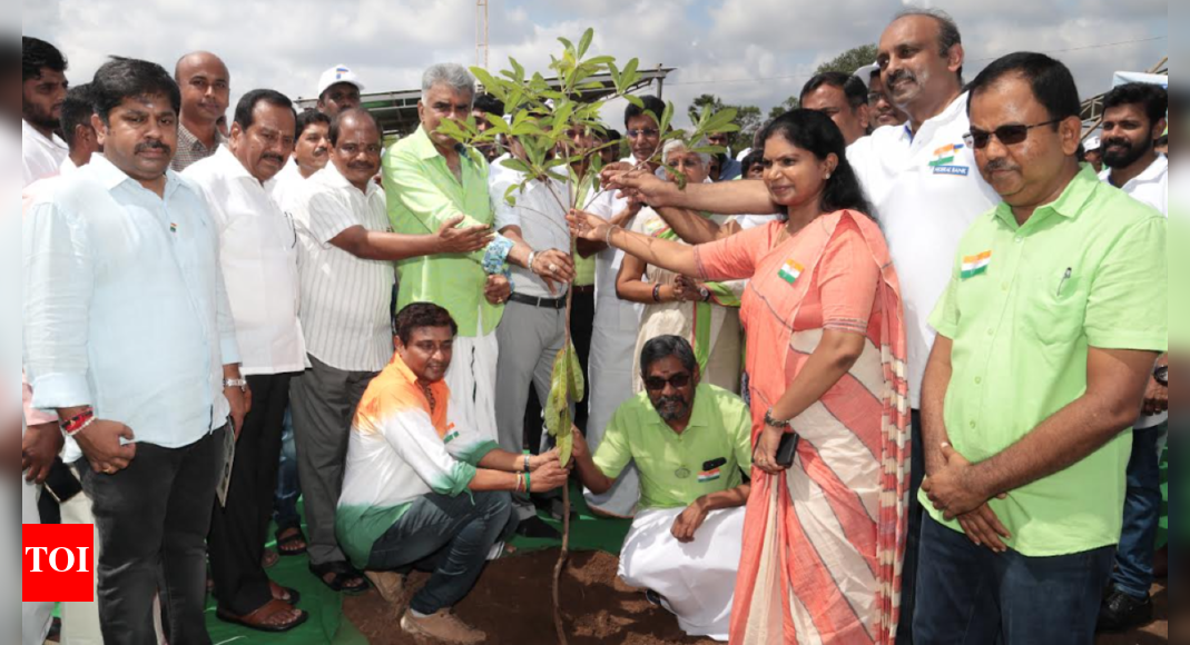 NGO plants 19 lakh trees in Tirupur in nine years | Coimbatore News ...