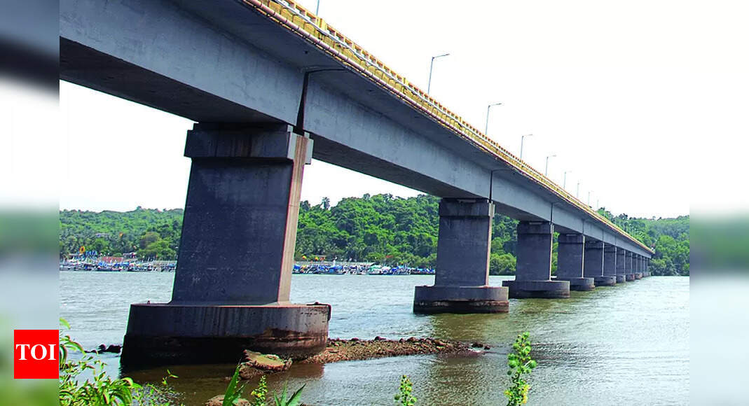 In a first, 1,000 bridges in Goa to be surveyed, audited, geo-tagged ...