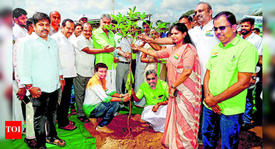 Tree Planting: Vetry Trust to Plant 2L More Saplings in Coimbatore ...