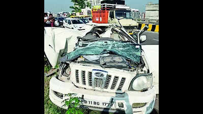 Animal-Vehicle Collisions: Animal-Vehicle Crash Deaths Surge in Punjab, Urgent Action Needed ...