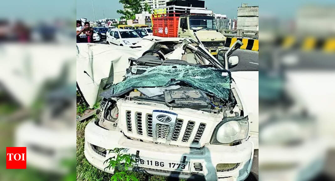 Animal-Vehicle Collisions: Animal-Vehicle Crash Deaths Surge in Punjab ...