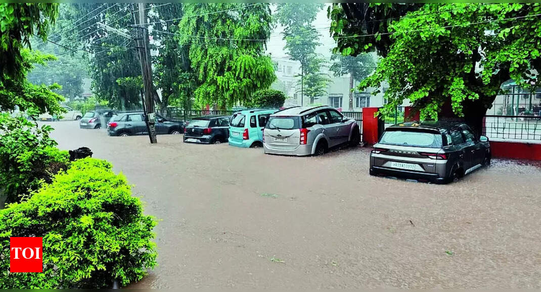 Flooding: Panchkula Flooding: MC Blamed, White Paper Demanded ...
