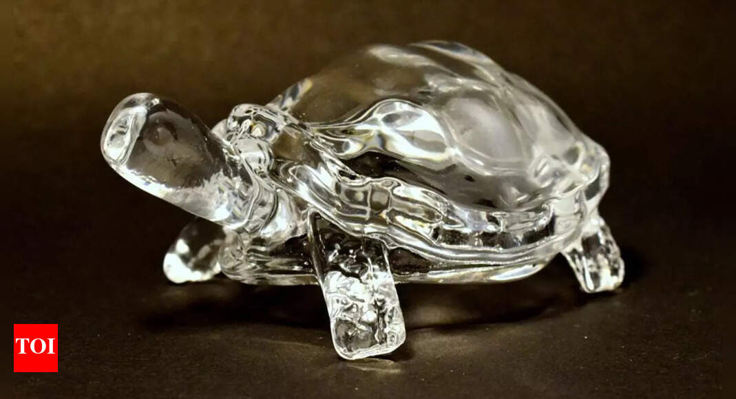Tortoise zodiac 60 photos - Youhoroscope.com
