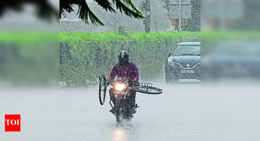 Rainfall: Moderate rain continues in Jaipur with 85mm recorded in ...
