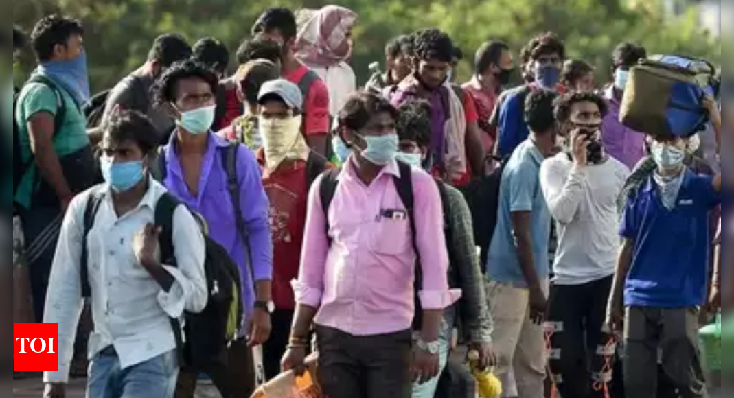 Migrant Workers: Life of migrant workers in Kerala | Kochi News - Times ...