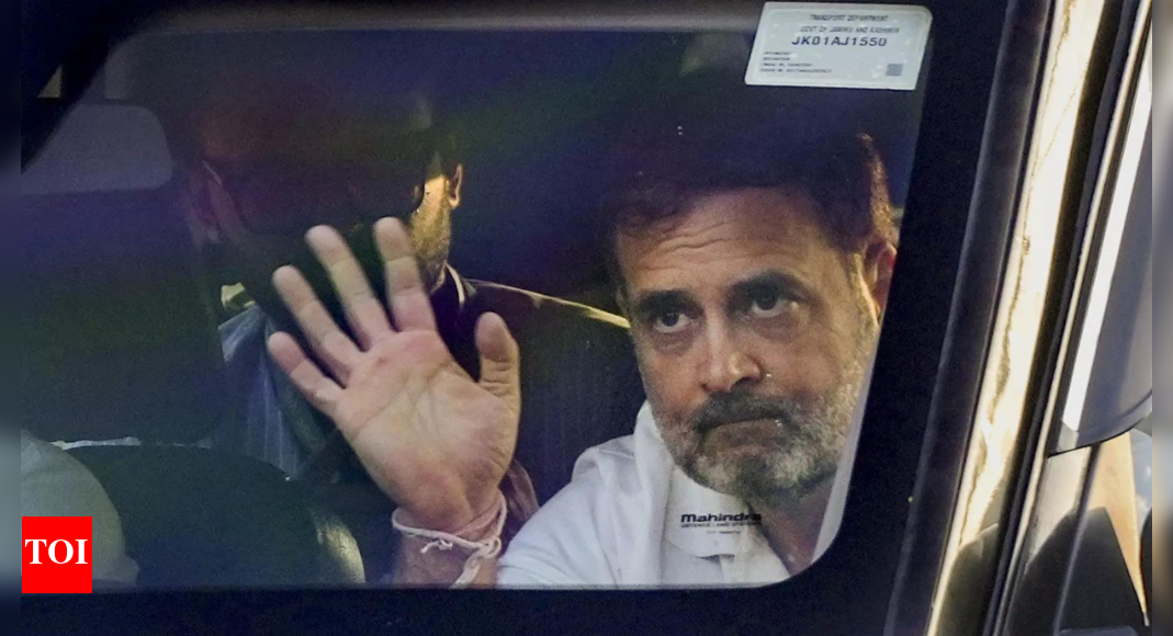 Watch: Rahul Gandhi enjoys dinner at Srinagar eatery, treats himself to ...