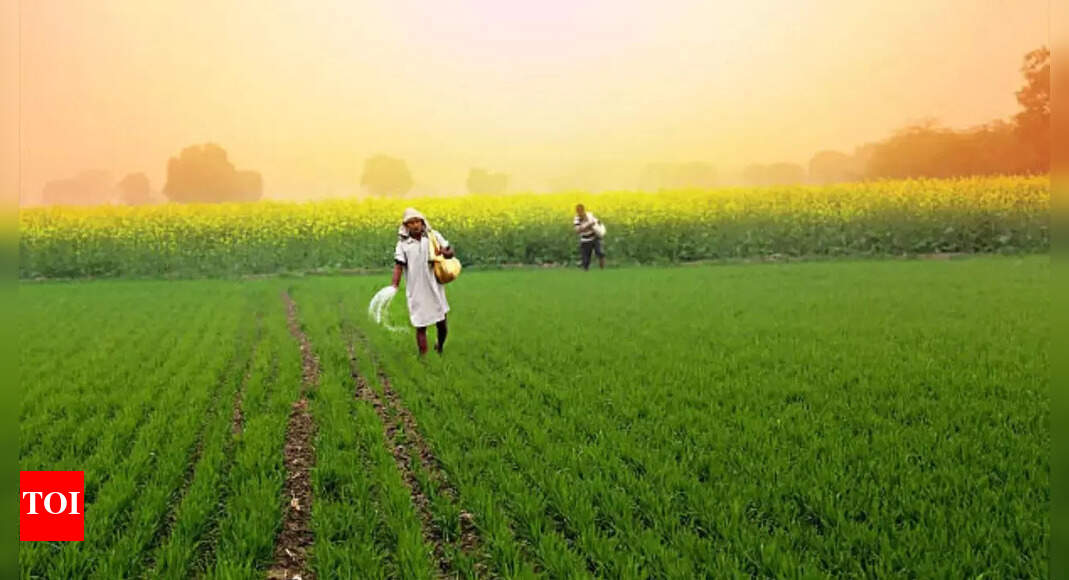 Farm issues affecting law and order to be resolved in 3 days: SC ...