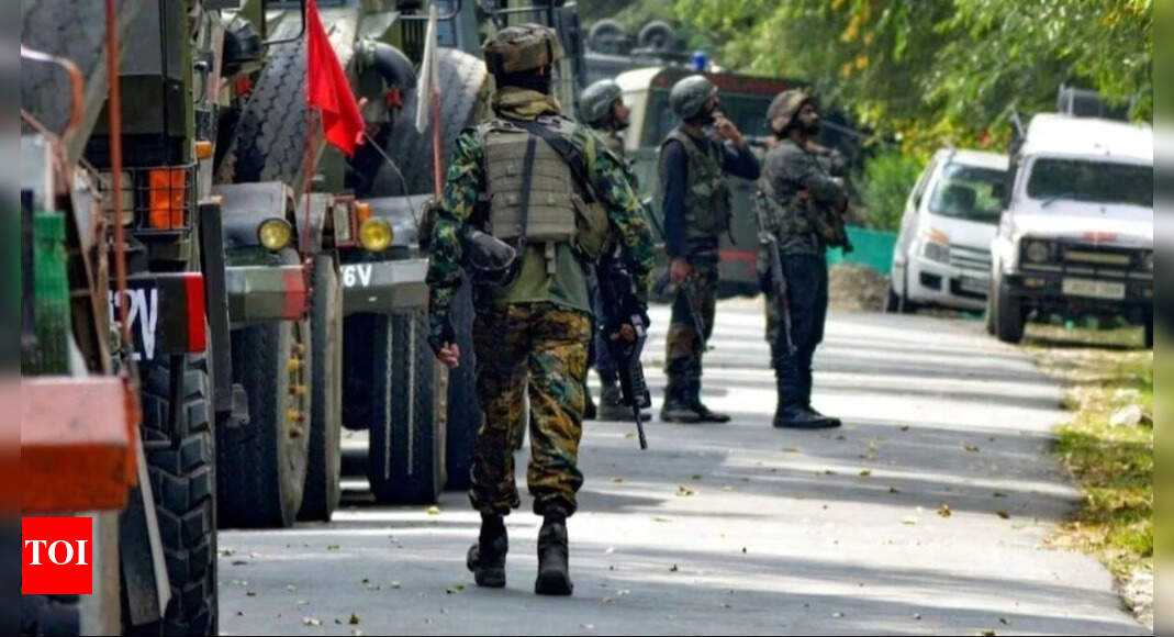 Army's UAV falls into Pakistani territory after 'technical malfunction ...