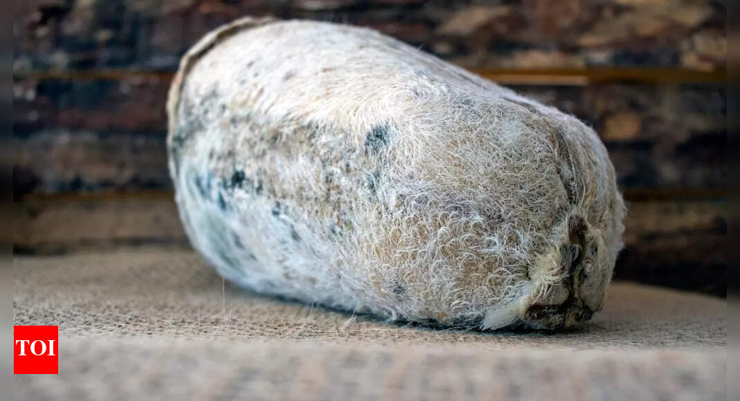 Tulum Cheese: A Unique Turkish Delicacy | - Times of India