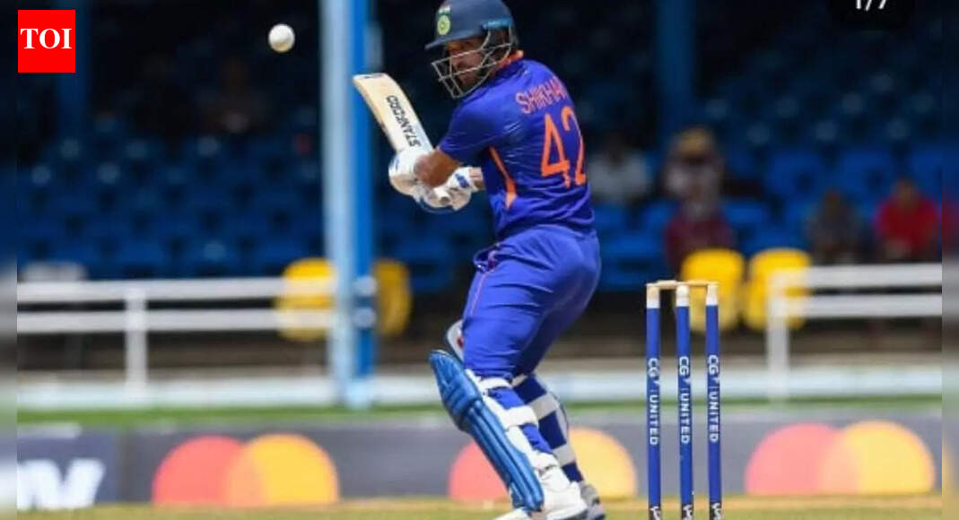 Net worth of Indian cricketer Shikhar Dhawan - The Times of India