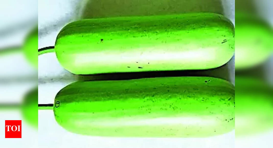 IIVR: Two Varieties Developed By Iivr Part Of 109 Crop Types Released ...