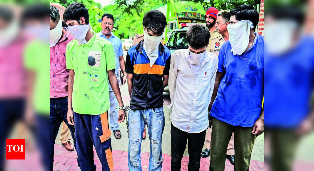 Thieves: Gang of Thieves Arrested with 15 Stolen Bikes | Chandigarh ...