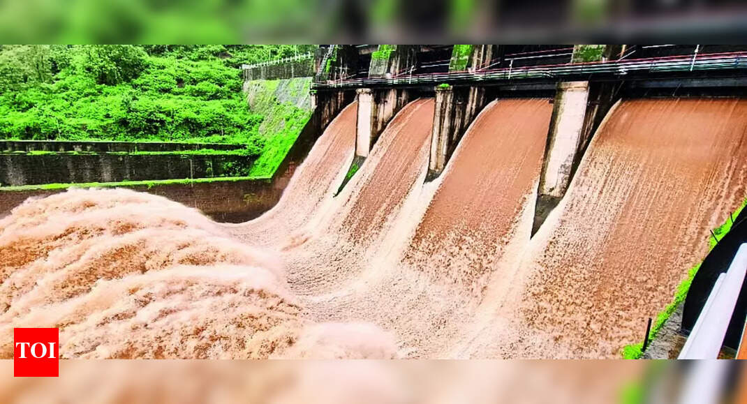 Nashik District: 17 dams in Nashik district witness water discharge due to heavy rainfall ...