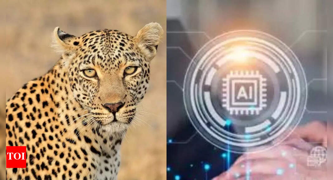 AI based Alerts On Leopard Sightings That Work In Tadoba Come To Pune