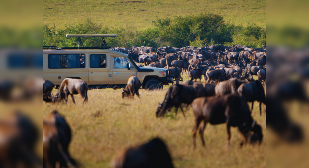 A guide to Serengeti National Park, where the spectacular Great ...