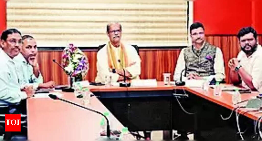 Millet Conference: Government to Host International Millet Conference ...