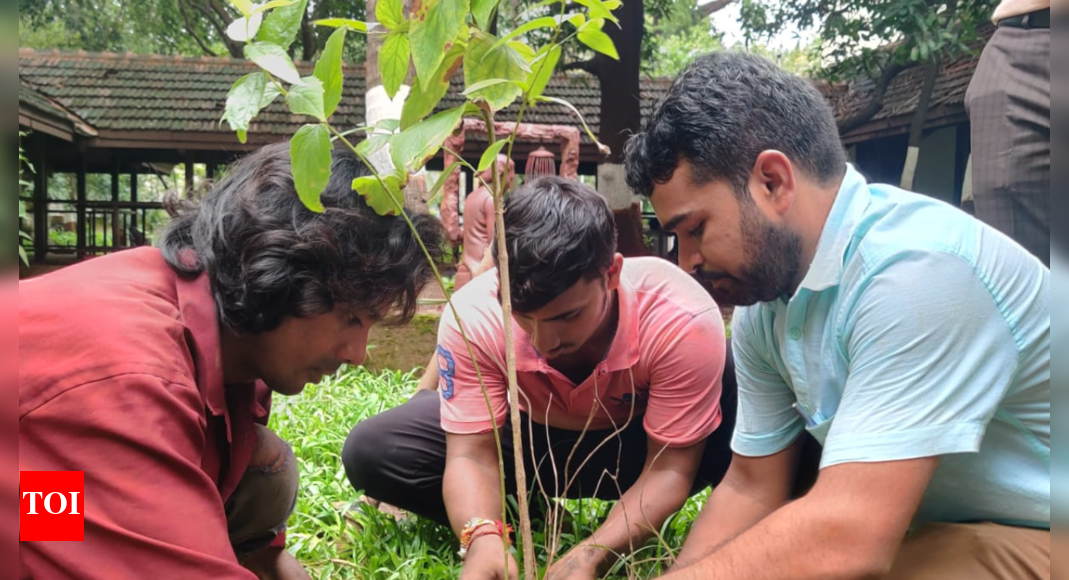TOI holds a tree plantation drive at the J J School of Art | Mumbai ...