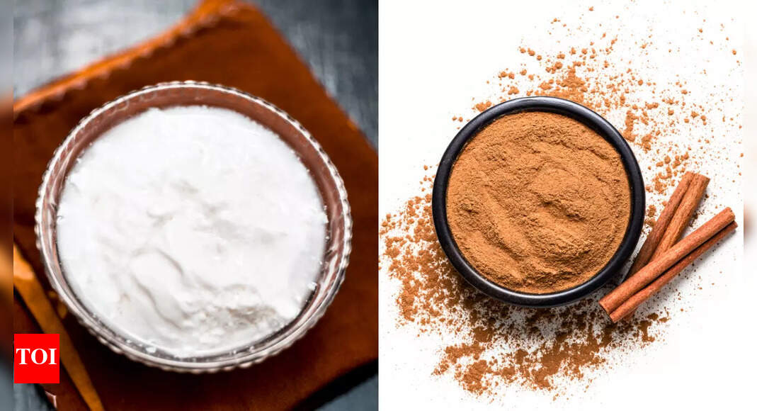 6 reasons to add a pinch of cinnamon powder to curd - Times of India