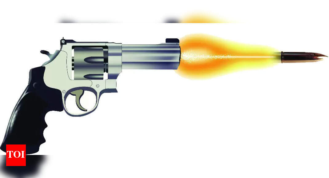 Man Fires Rounds: Man detained for firing revolver on friend’s birthday ...