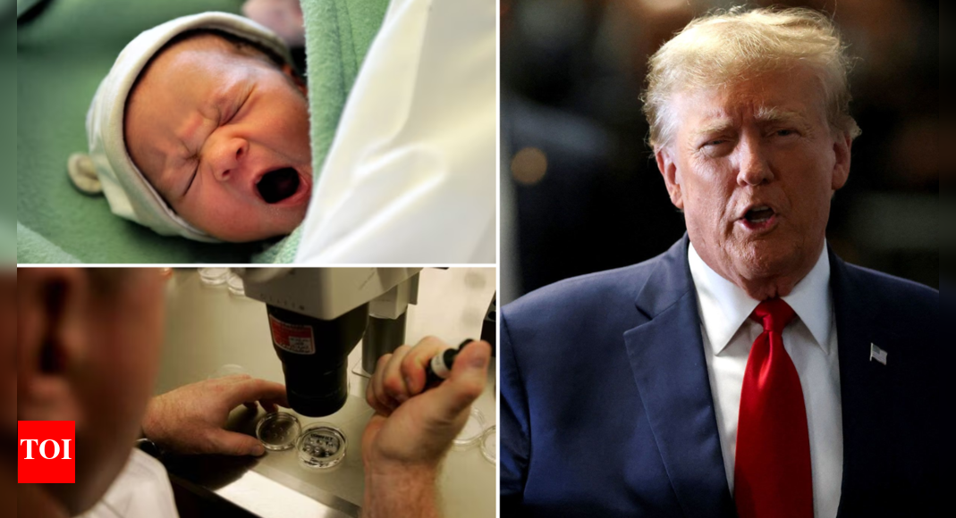 Donald Trump promises free IVF treatments amid abortion rights debate ...