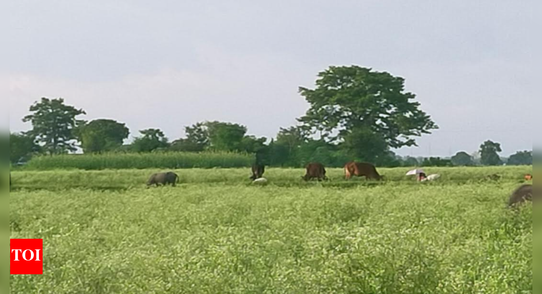 Khurpia in Uttarakhand's US Nagar to be set up as smart industrial city ...