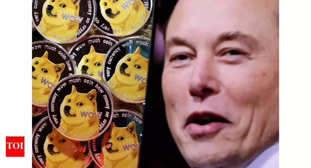 Elon Musk wins dismissal of lawsuit alleging dogecoin fraud and insider ...