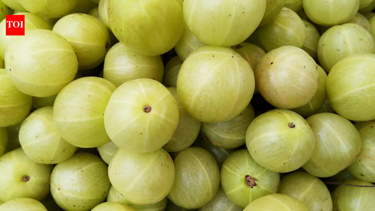 Amla Benefits: 10 benefits of chewing 1 amla daily on an empty stomach ...