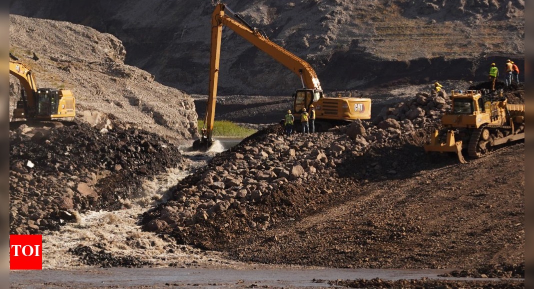 Salmon: 'You could almost hear the river crying ‘I am free’': Tribes ...